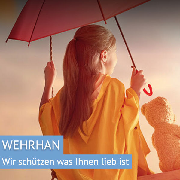 WEHRHAN TPS Sicherheitstechnik GmbH | WEHRHAN TPS Sicherheitstechnik GmbH
